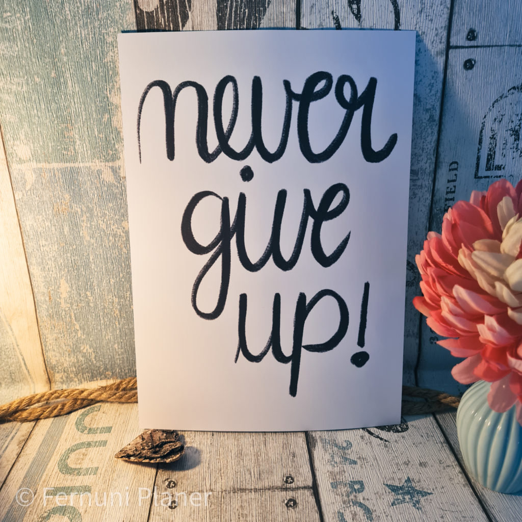 Poster "Never give up!" - Fernuni Planer